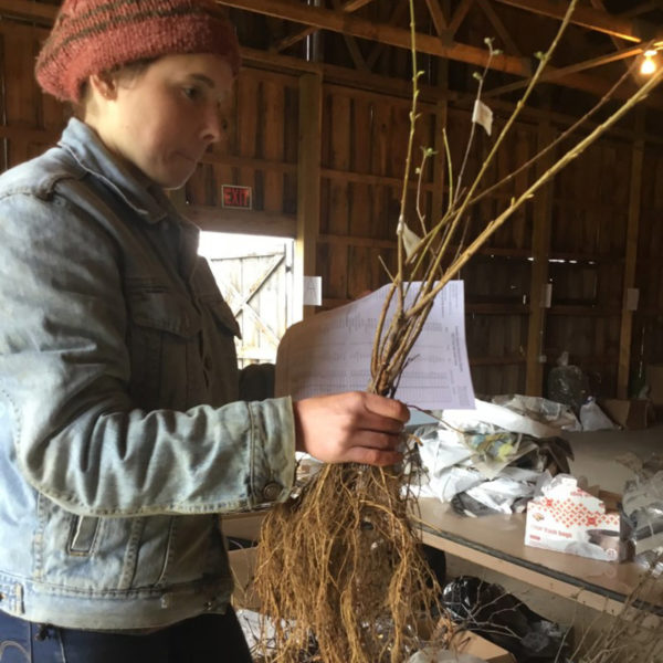 Tree, Plant and Trout Sales - Vermont Association of Conservation Districts