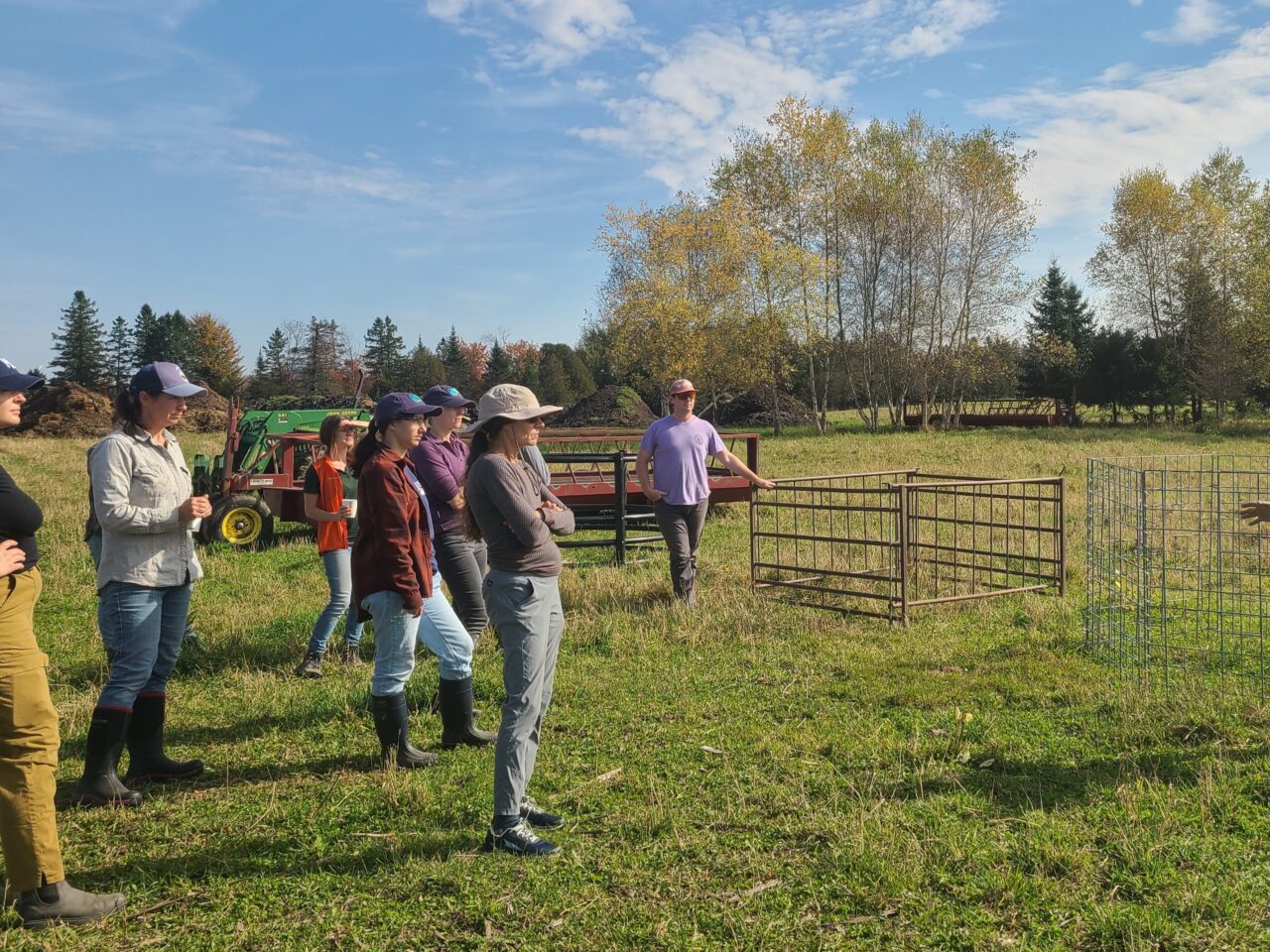 Bale Grazing for Success Workshop in Sheffield - Vermont Association of ...