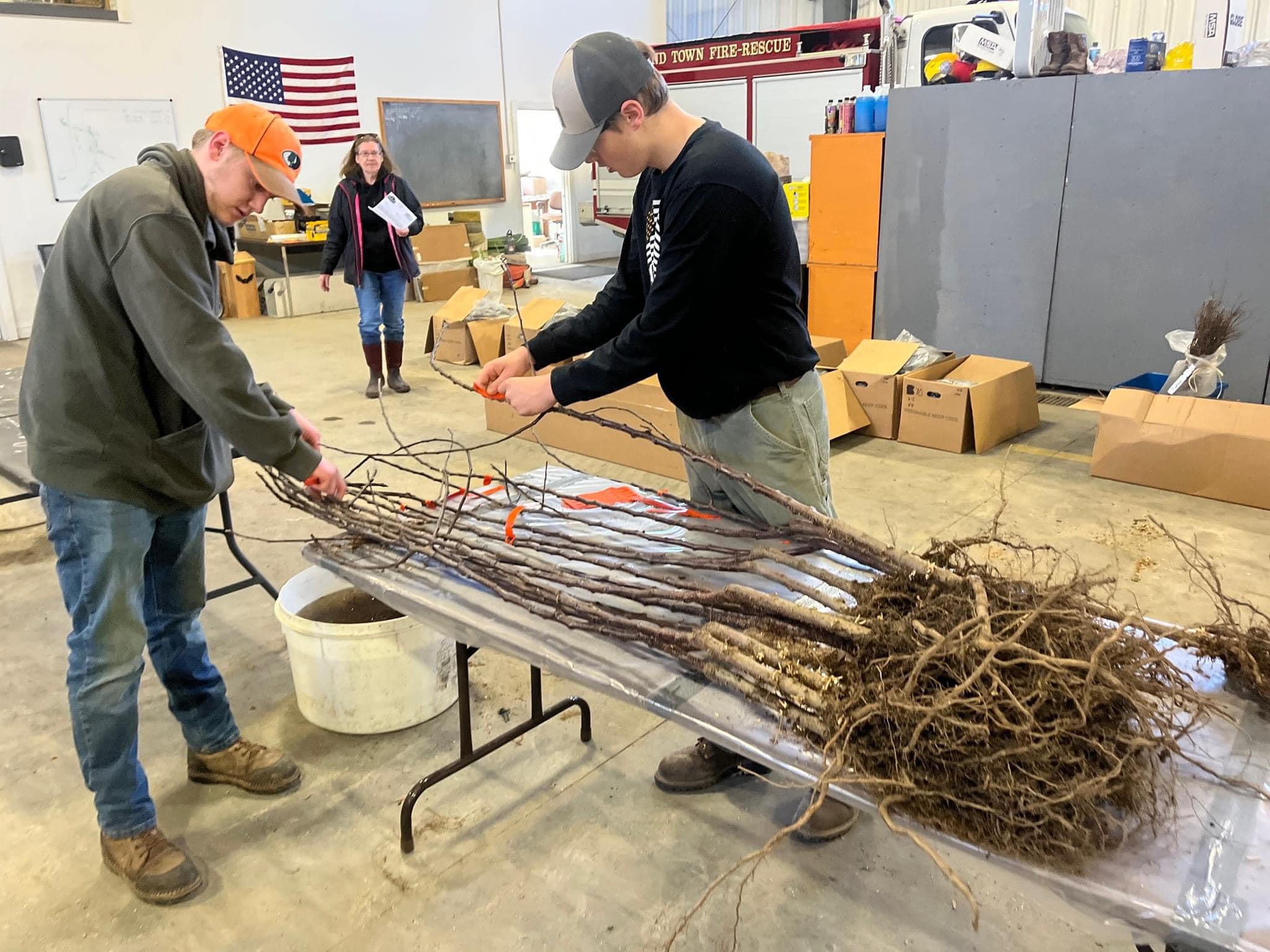Tree Sales Boost Local Habitats - Vermont Association of Conservation ...