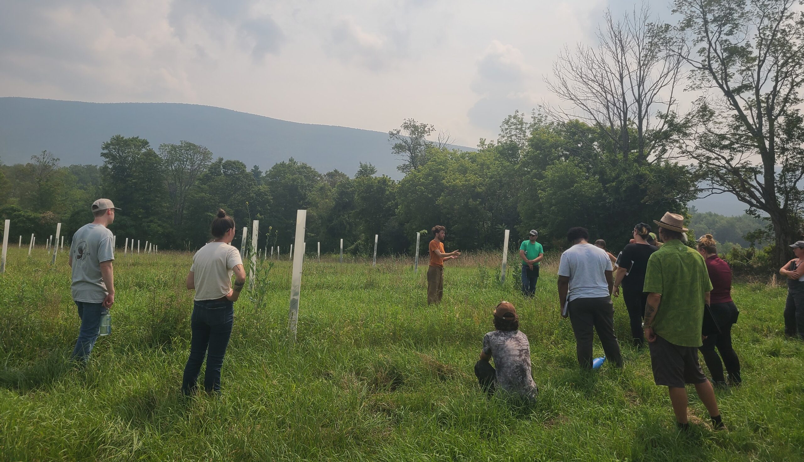 Intensive Silvopasture Workshop with Bennington County Conservation ...
